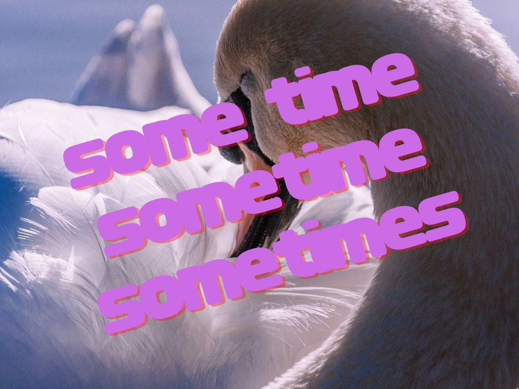 【some time/sometime/sometimes】使い分けできますか？｜ワールドトークブログ